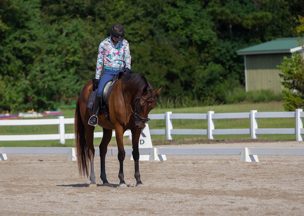 Southern Eventing and Dressage Association - SEDA | How to Enter a ...