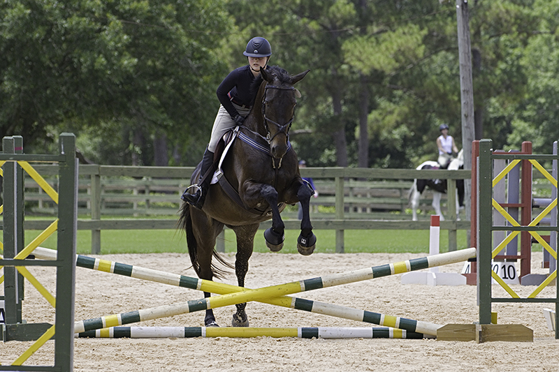 Southern Eventing and Dressage Association - SEDA | Ride with SEDA!